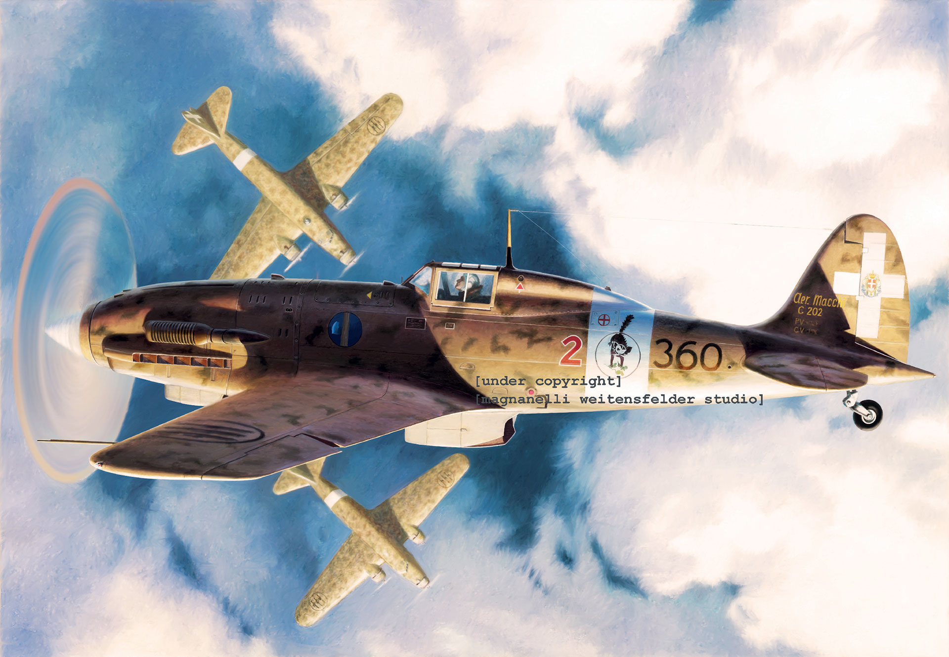 MACCHI CASTOLDI MC 202 FOLGORE (IT), 2006 – aerei.it